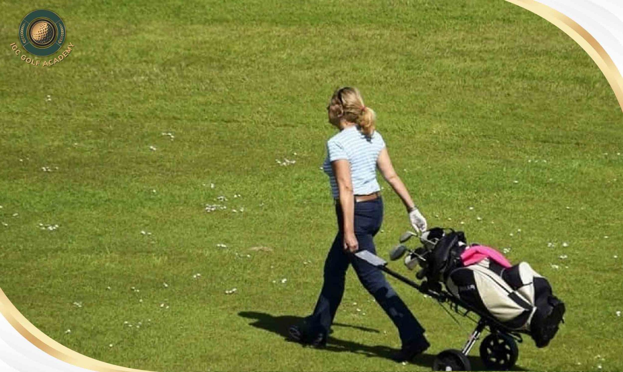 Buggy Golf Là Gì? Phân Biệt Buggy Golf Và Golf Cart Trong Sân Golf